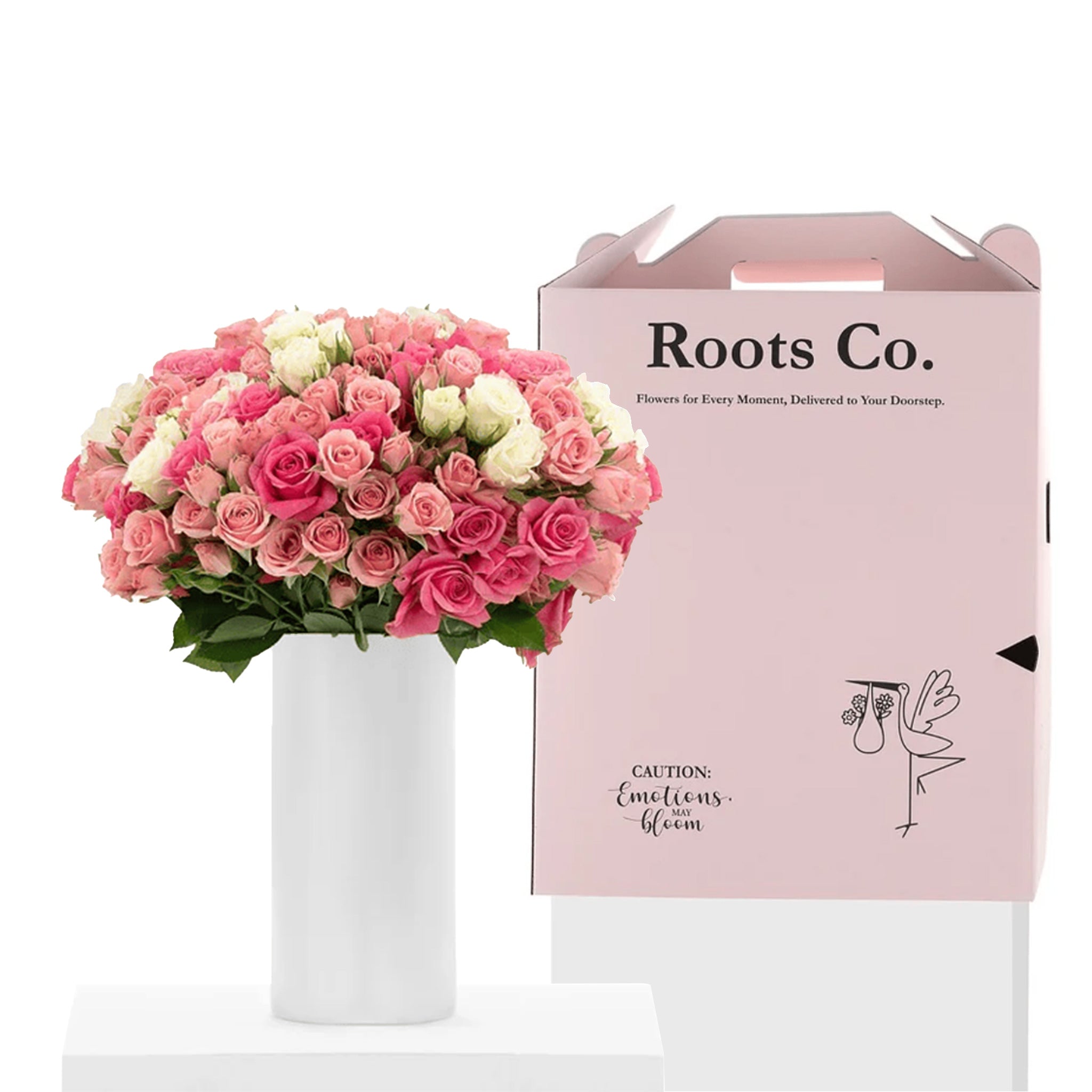 Ballet – Roots Co.